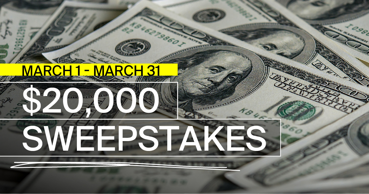 Horse Race Betting Online | Xpressbet