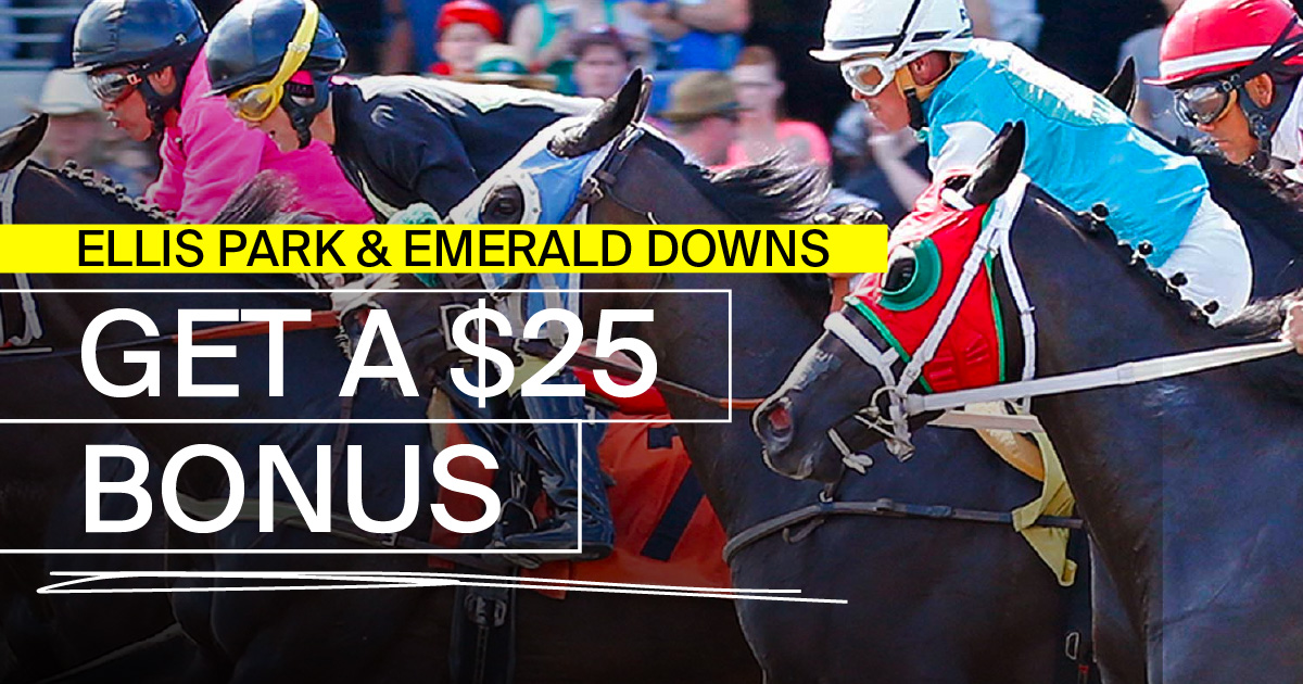 Horse Race Betting Online | Xpressbet