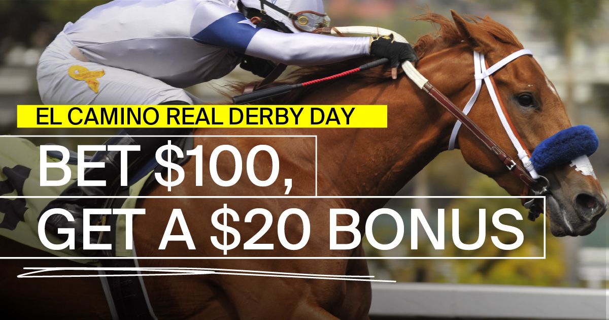 Horse Racing Betting Promotions and Bonuses | Xpressbet